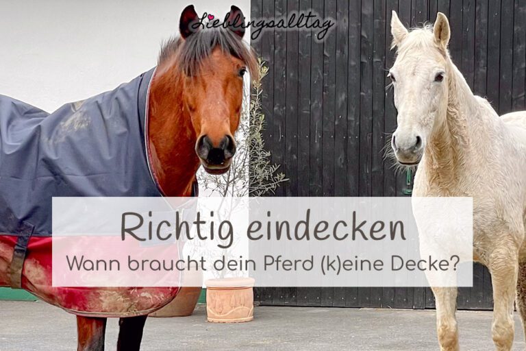 Dein Pferd richtig eindecken | Lieblingsalltag