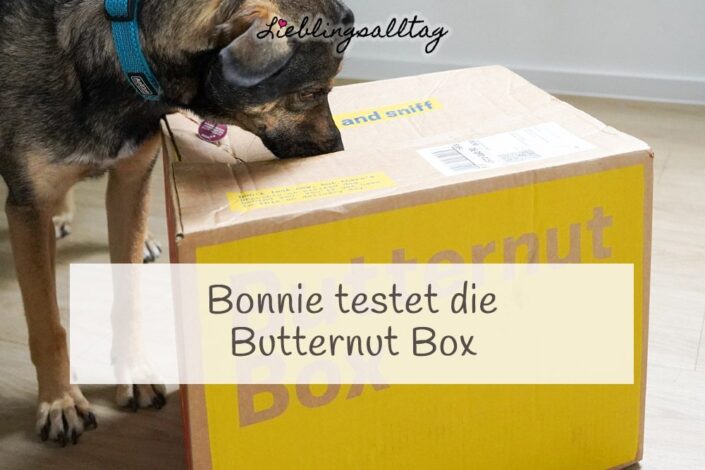 Bonnie darf die Butternut Box testen - unsere Erfahrungen